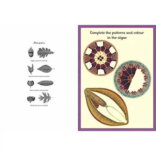 Botanicum Activity Book – Stock Design Store
